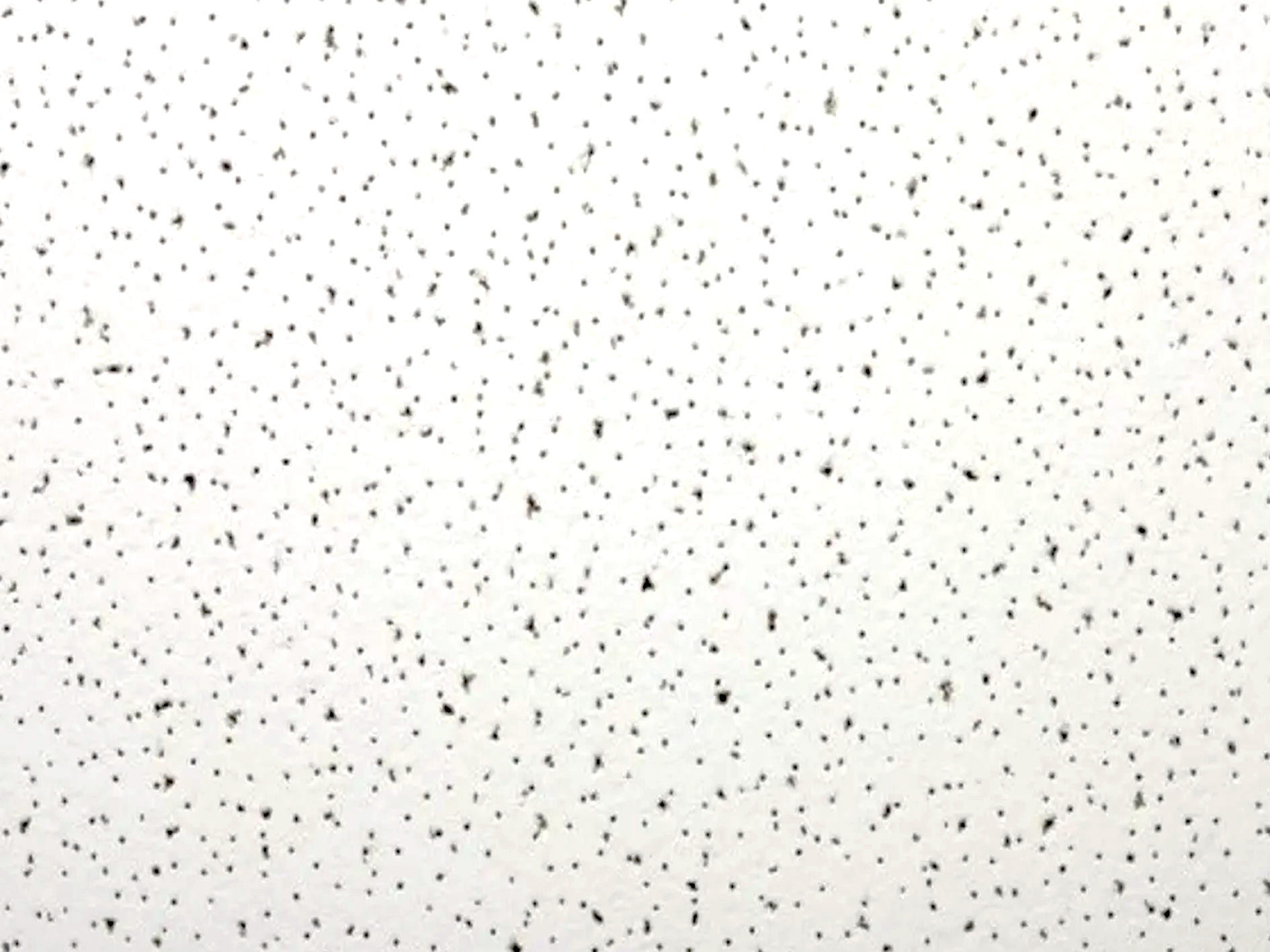 Acoustic Ceiling Texture Seamless | Shelly Lighting
